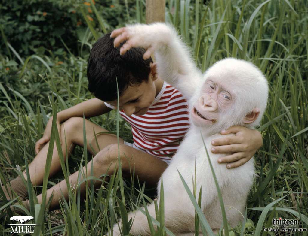 31 Rare White Animals You'll Never See In Real Life