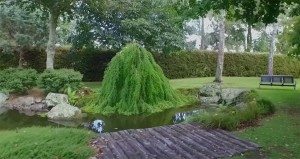 Man Builds Beautiful Church Using Living Trees