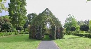Man Builds Beautiful Church Using Living Trees