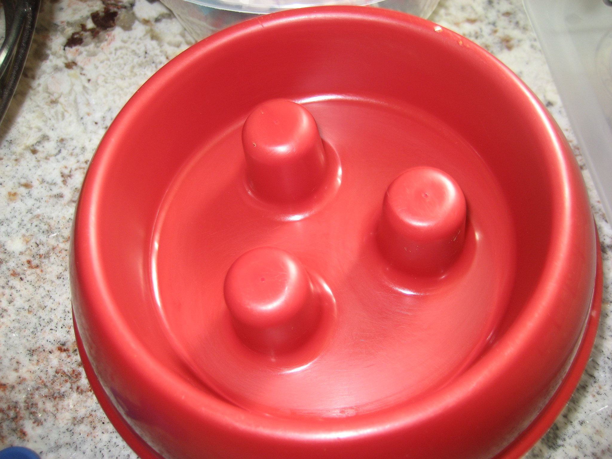 +50 Consejos Poco Conocidos Pero Importantes Que Los Dueños De Perros ...