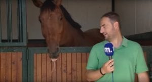 Reporter Tries To Film But Horse’s “Crush” Steals The Spotlight