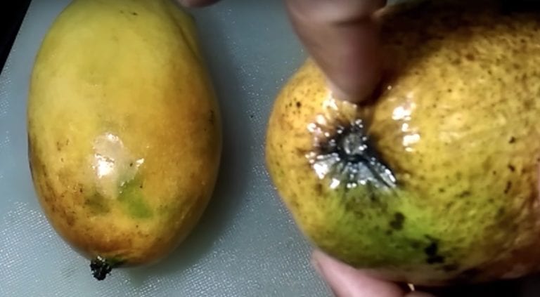 5 Tips On How To Pick The Perfect Mango