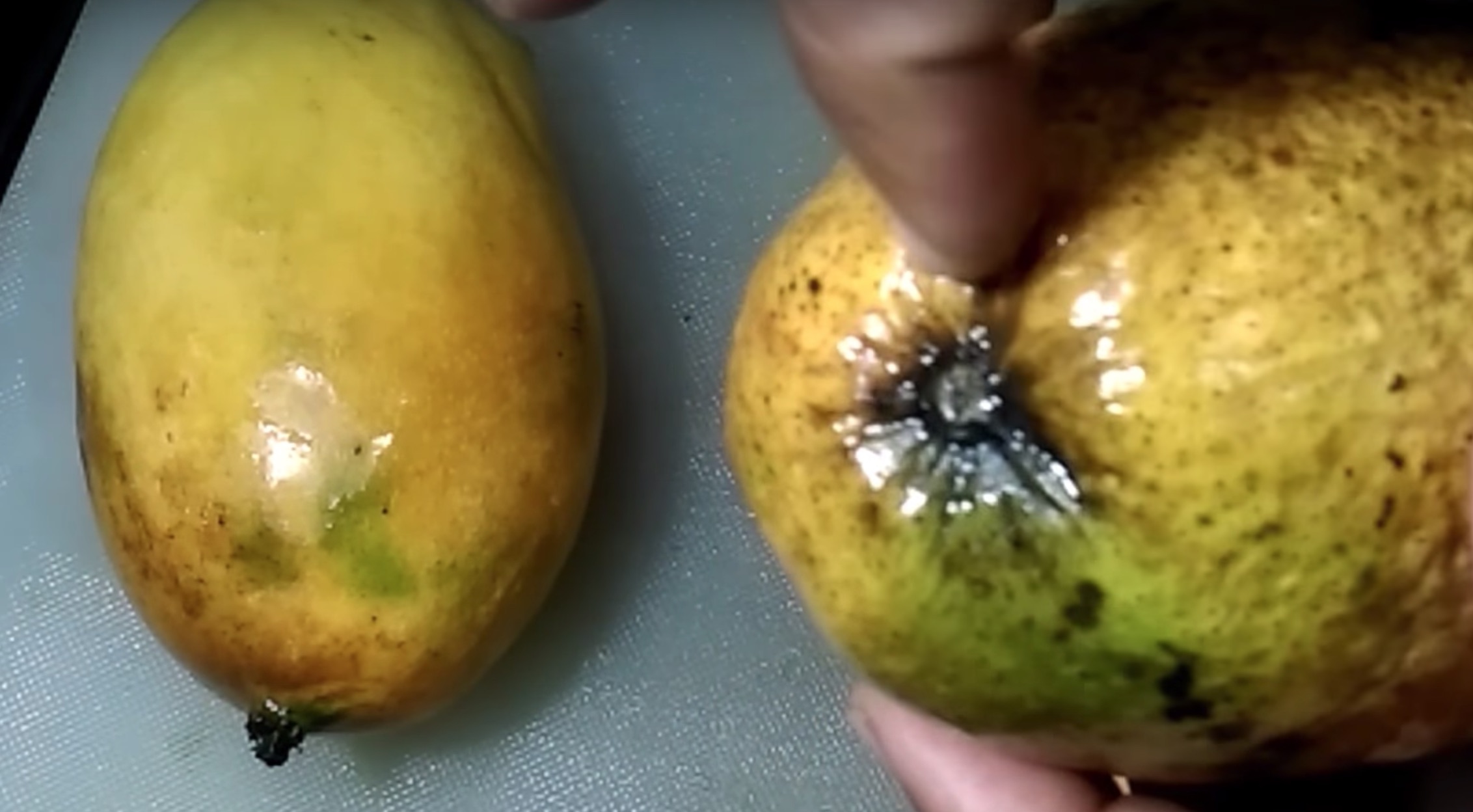 5 Tips On How To Pick The Perfect Mango