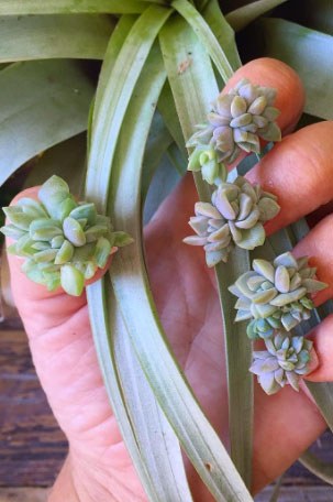 65 strange and disturbing nail art designs