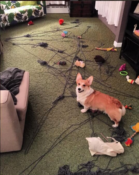 35 Knitting Fails That Deserve An Award