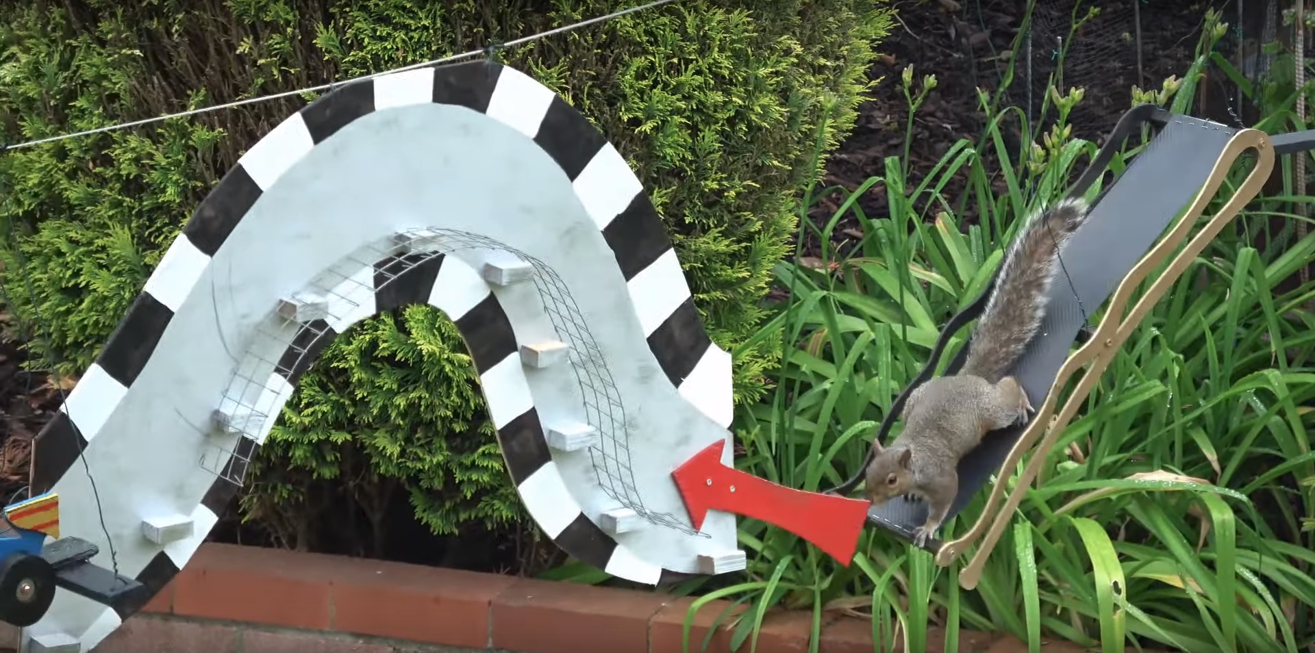 Dad builds squirrel grand prix