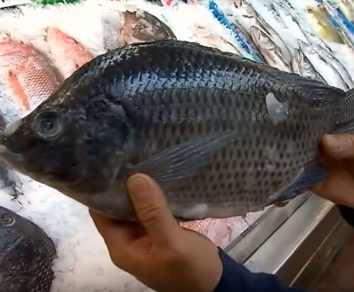 Think That’s Real Sushi You Are Ordering?