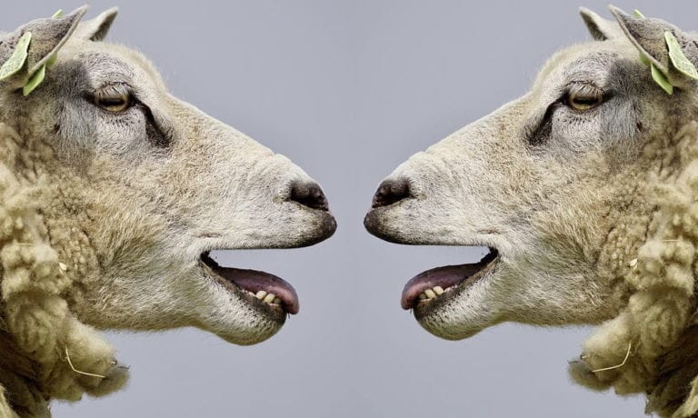 50 Funny Insults From The Past