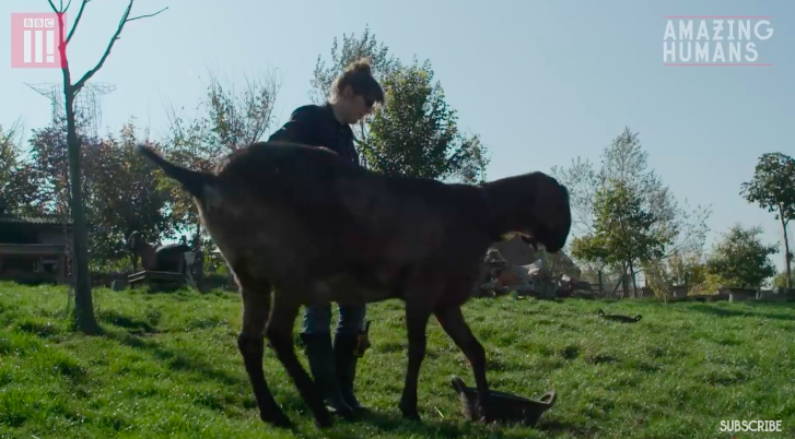 Woman starts a farm for animals with special needs