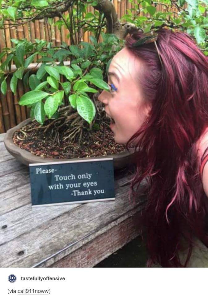 50 Funny People Who Take Instructions Literally