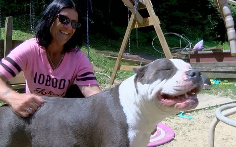 Pit bull protects autistic girl lost in woods