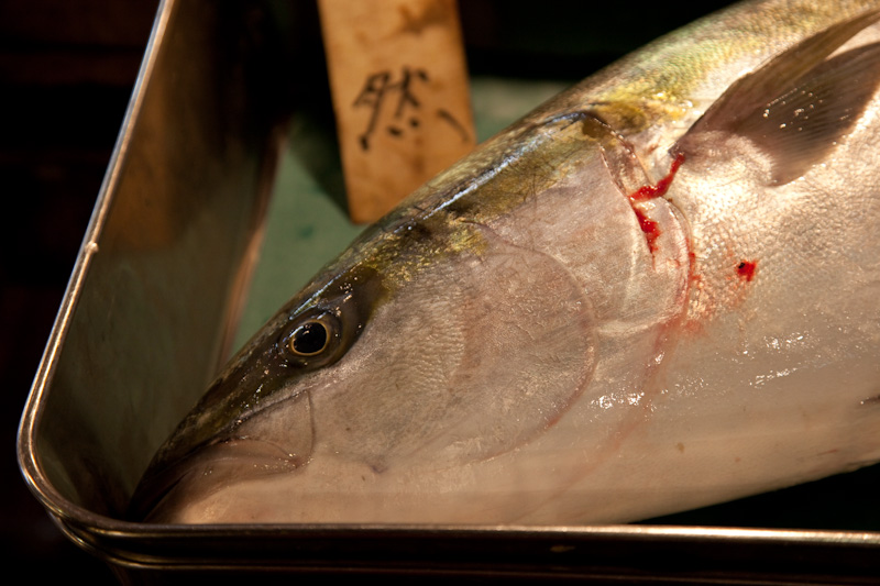 Chef shares humane way to kill a fish – the method also makes the fish ...