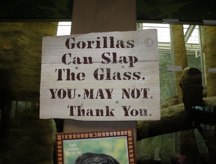 35 Strange But Very Funny Zoo Signs