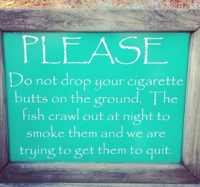 35 Strange But Very Funny Zoo Signs