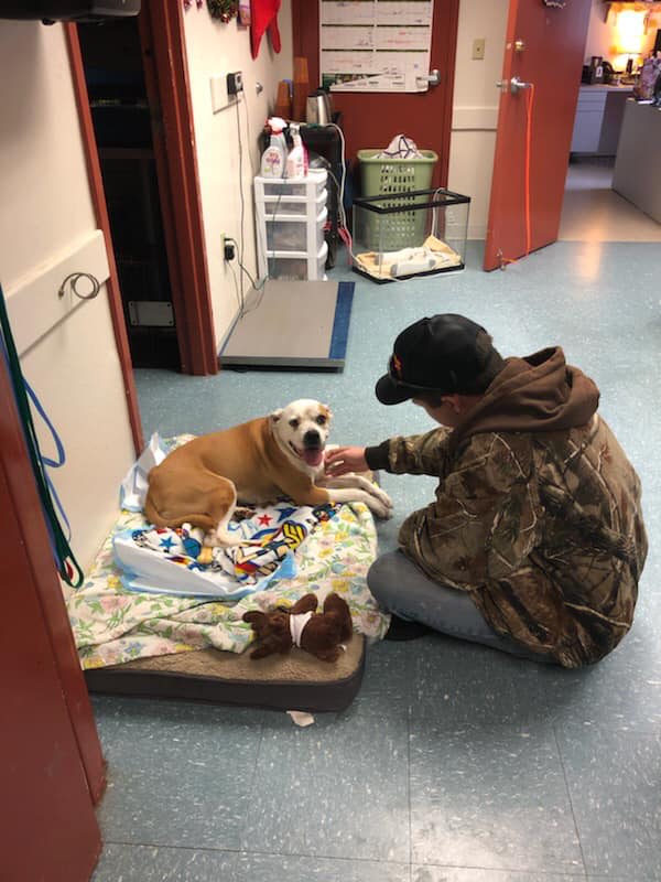 Police Officer Brings Great Comfort To Injured Dog
