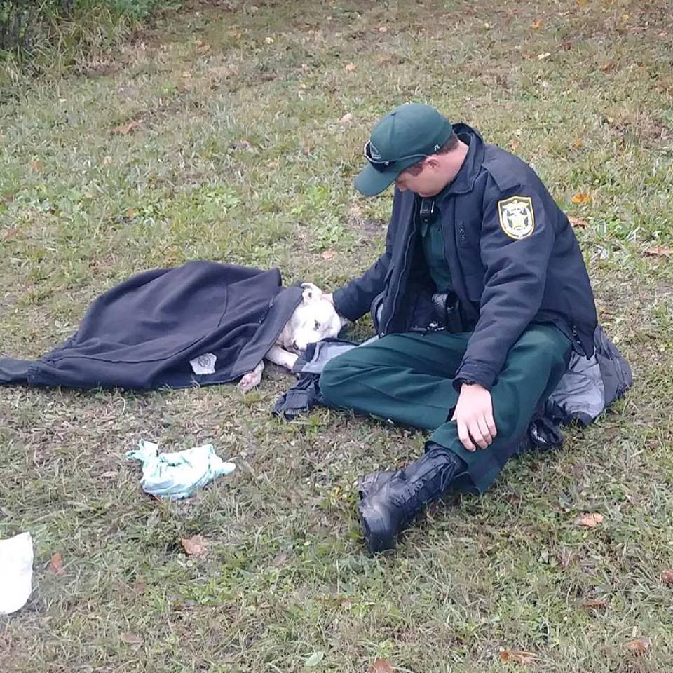 Police Officer Brings Great Comfort To Injured Dog