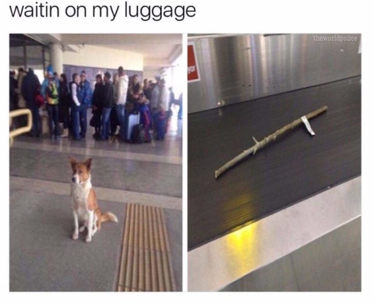 40 Airport and travel memes that are wildly relatable, even if you’ve ...