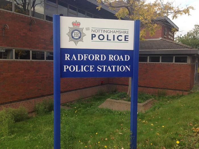 Police called after goose smashes through car window