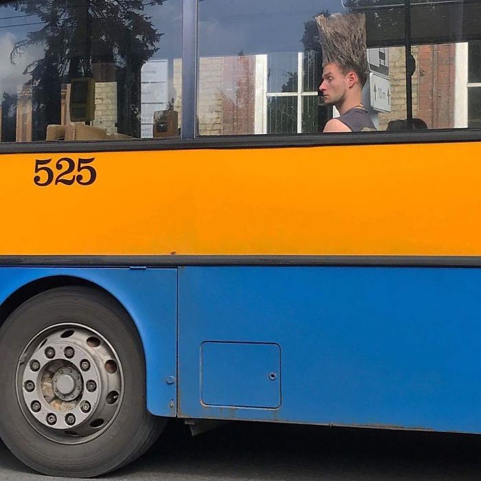 50 times people spotted the weirdest sight on public transportation
