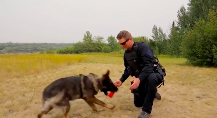 Police officers accept challenge – get town involved in ‘bringing the ...