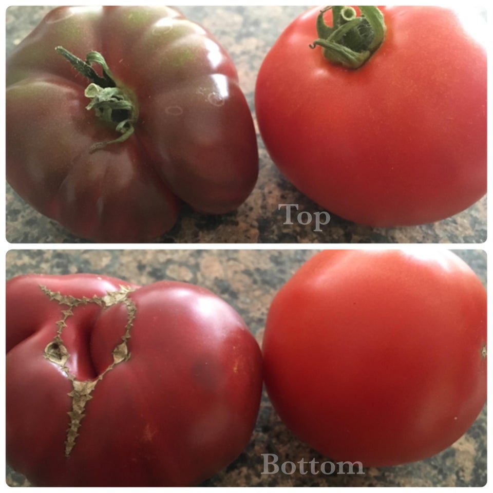 50 Interesting comparison photos that will give you very different ...