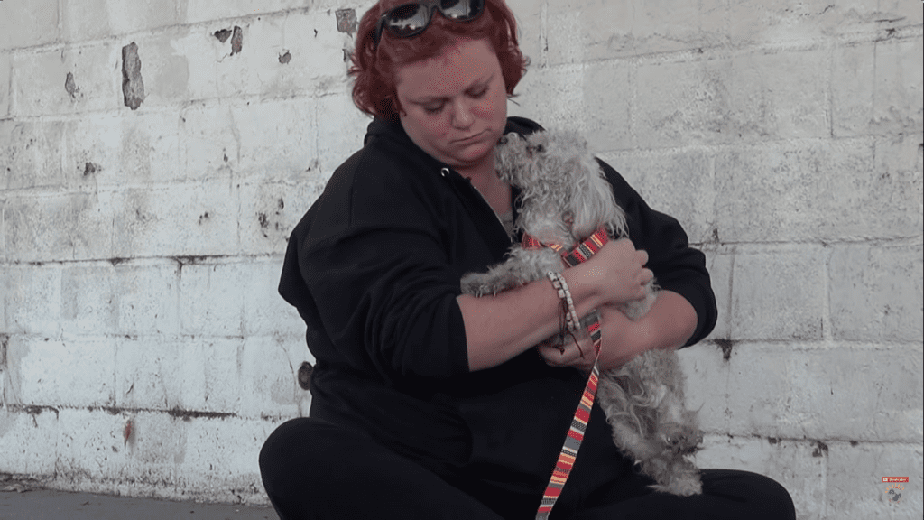 Scared poodle realizes she is being rescued, has most beautiful ...