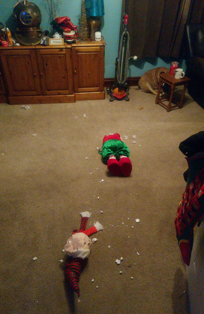 50 disastrous Christmas fails that ruined Christmas