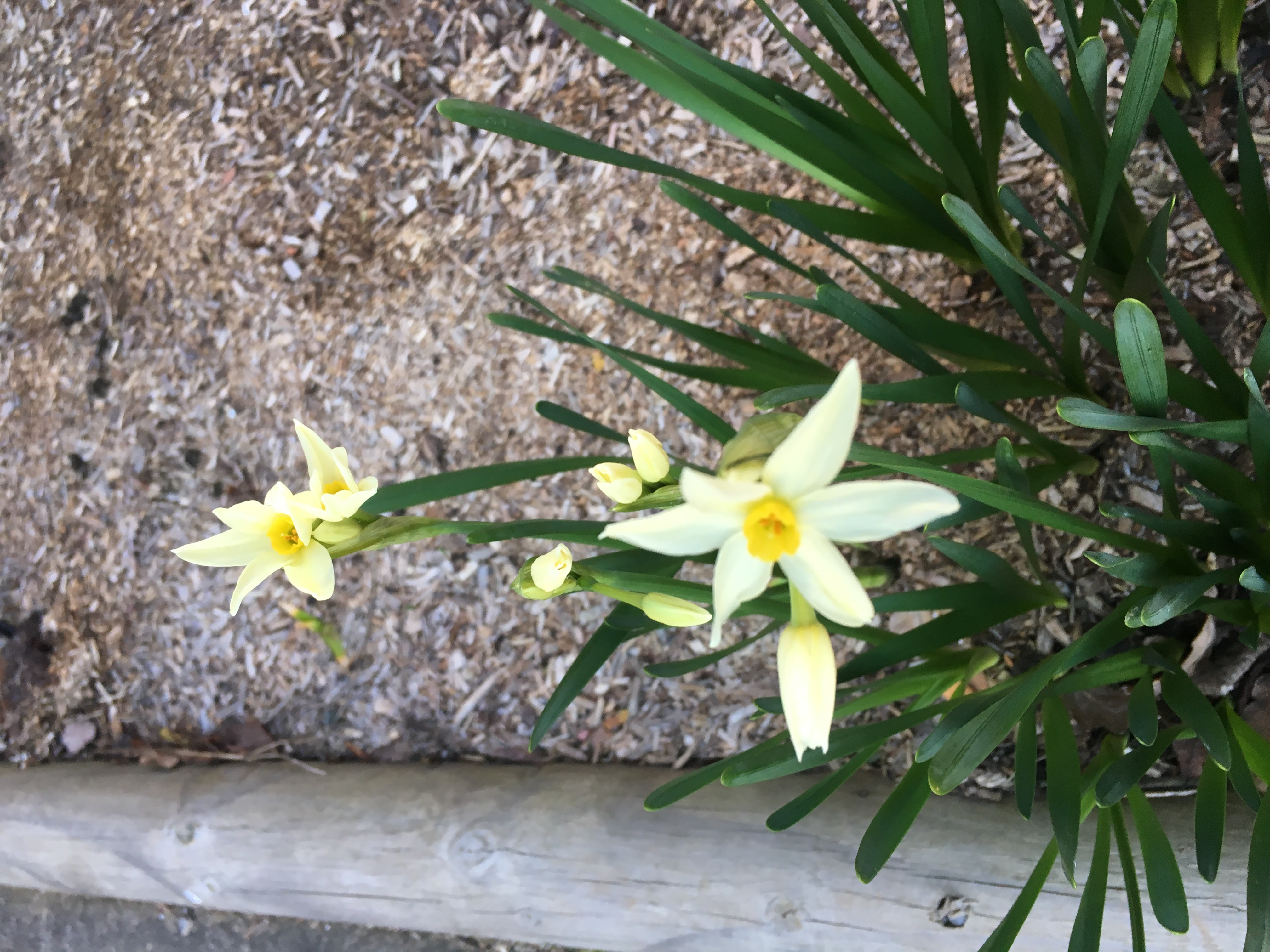 30 incredibly smart ways to use baby powder in and out of the house
