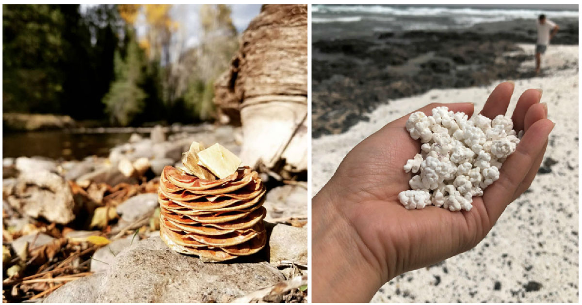 75 times inedible things tricked people into thinking it was delicious food