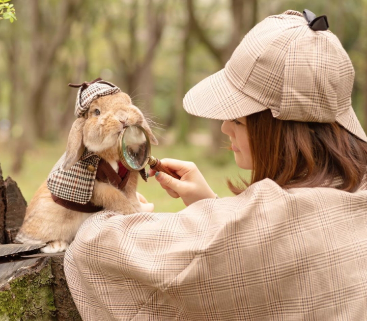 Bunny rabbit is impeccably dressed – models adorable outfits created ...
