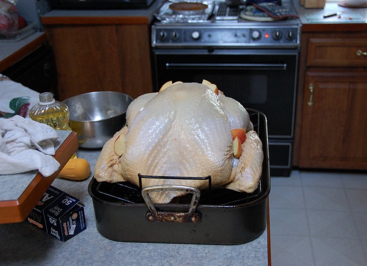 Woman's hilarious struggle with large turkey turns into mishap for husband