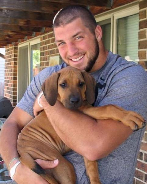 Tim Tebow says 'one of the toughest goodbyes' to beloved dog
