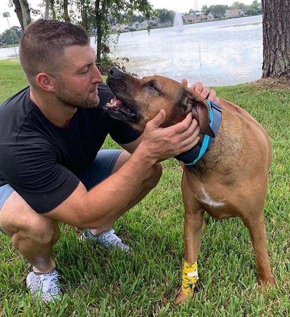 Tim Tebow says 'one of the toughest goodbyes' to beloved dog