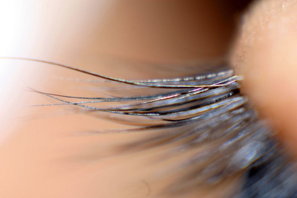 Lash lice becoming more common in eyelash extensions – some doctors are ...