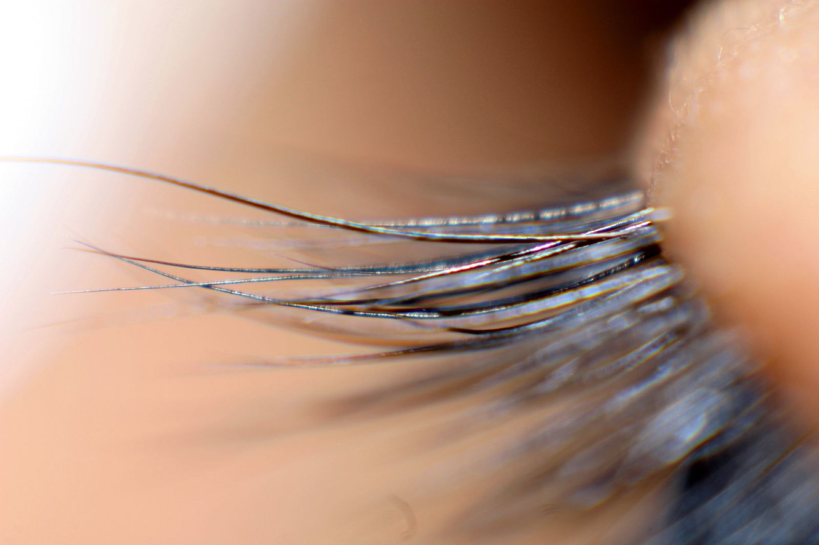 Lash lice becoming more common in eyelash extensions – some doctors are ...