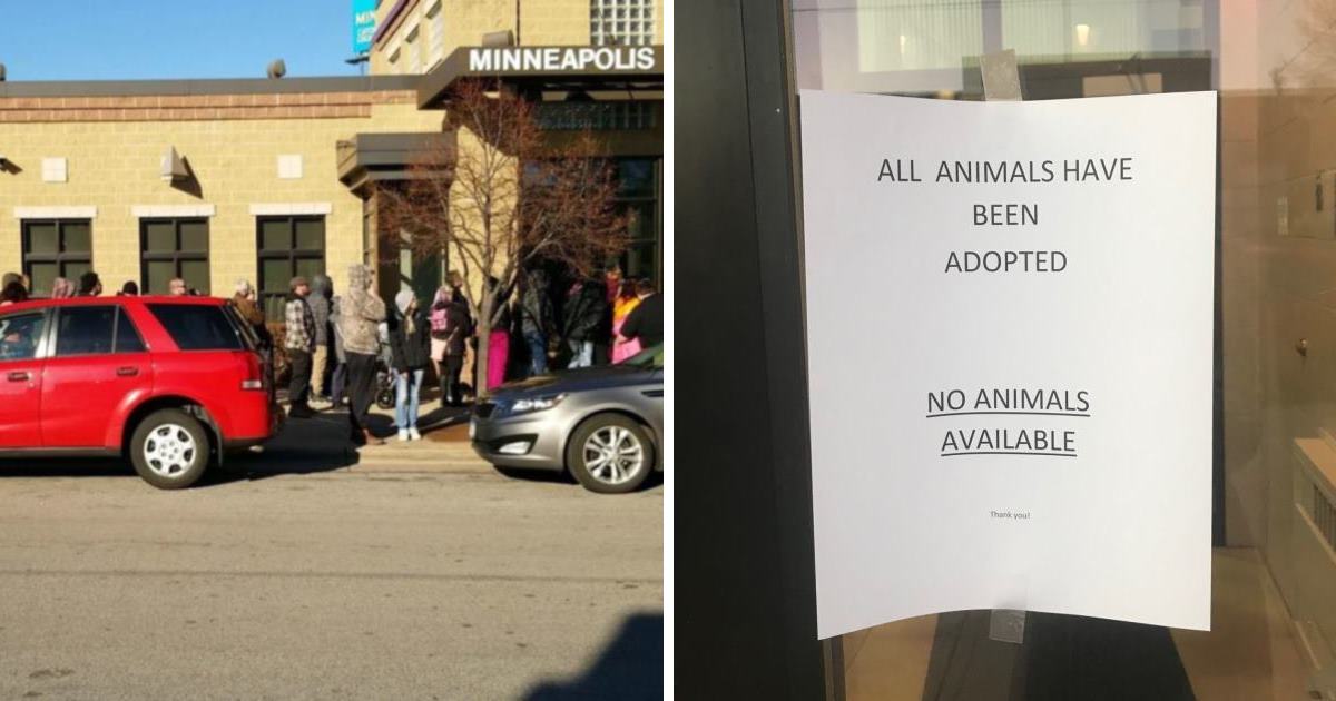 Minneapolis animal shelter is completely empty, gets early Xmas gift as ...