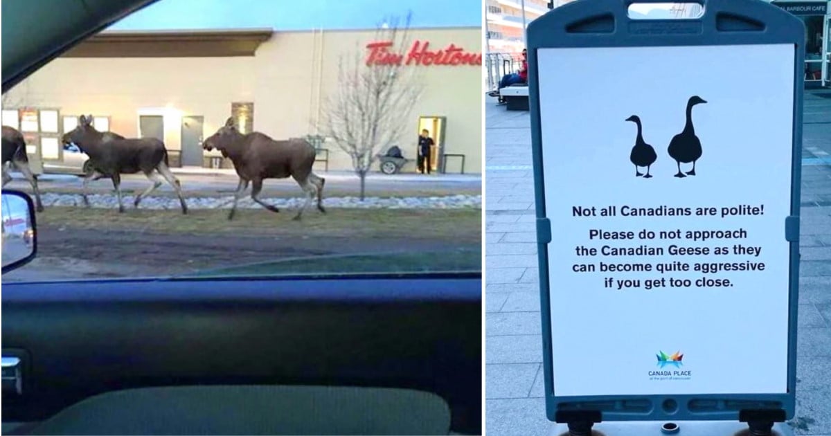 45 Photos That Describe Perfectly Living In Canada