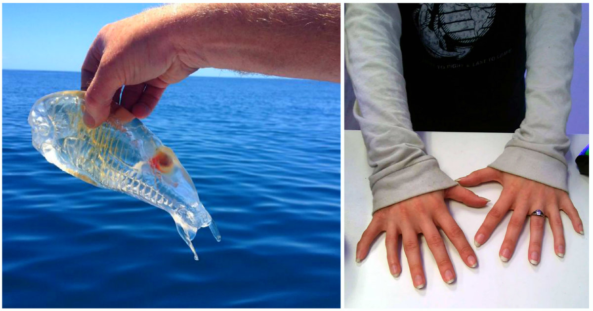 50 rare sights people hardly ever get the chance to see