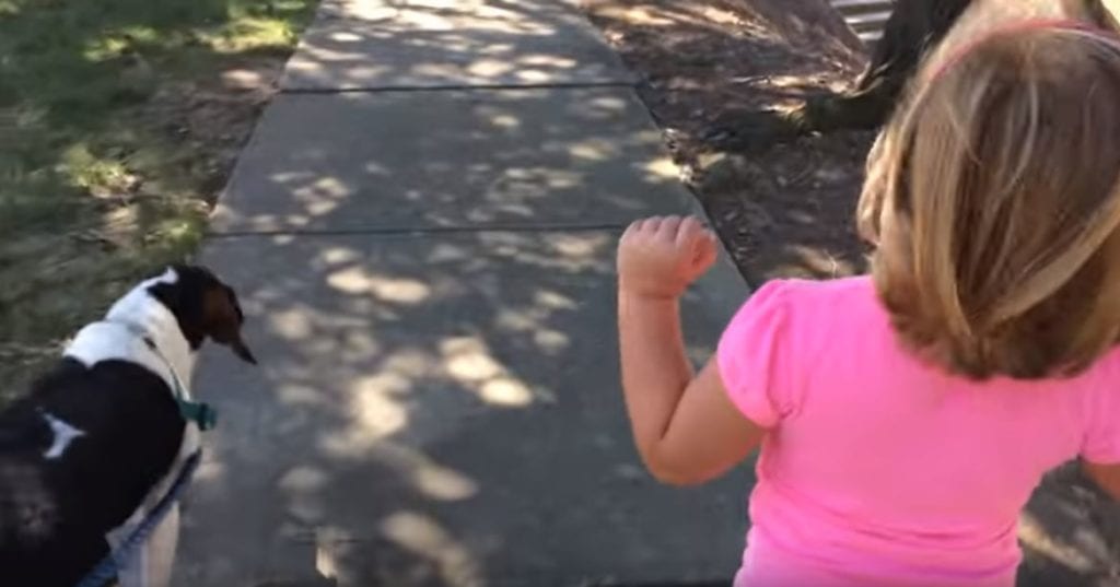 4-year-old girl sings “Who Let the Dogs Out” only to have dog ...