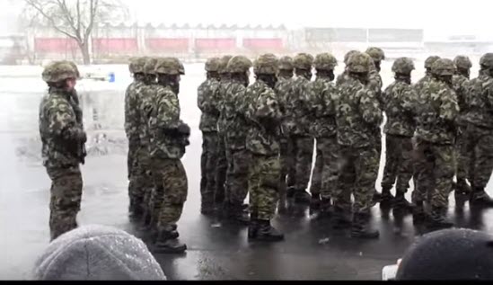 Swiss army soldiers get into formation – then bring the house down with ...