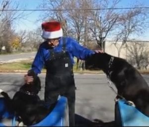 Man rescues stray dogs then takes them on adventurous train ride