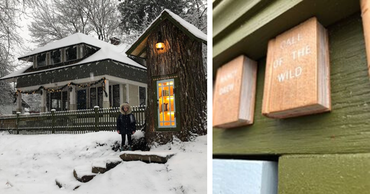 Woman turned a 110-year-old tree into a free library and the result is ...