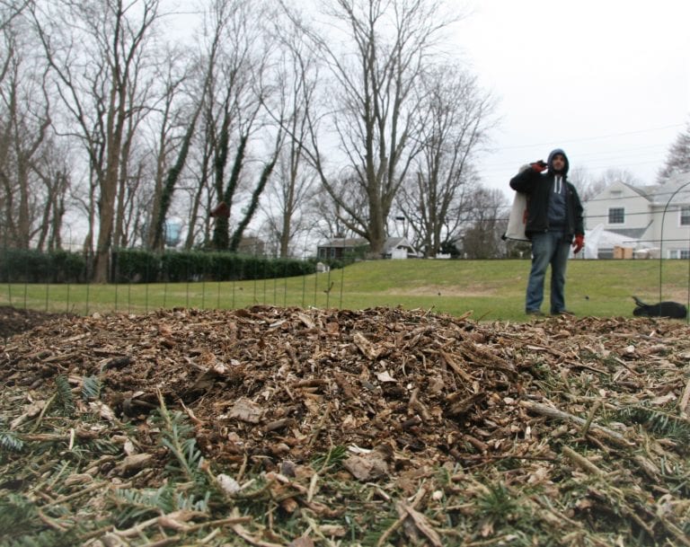 30 clever ways to reuse and recycle your Christmas tree this season