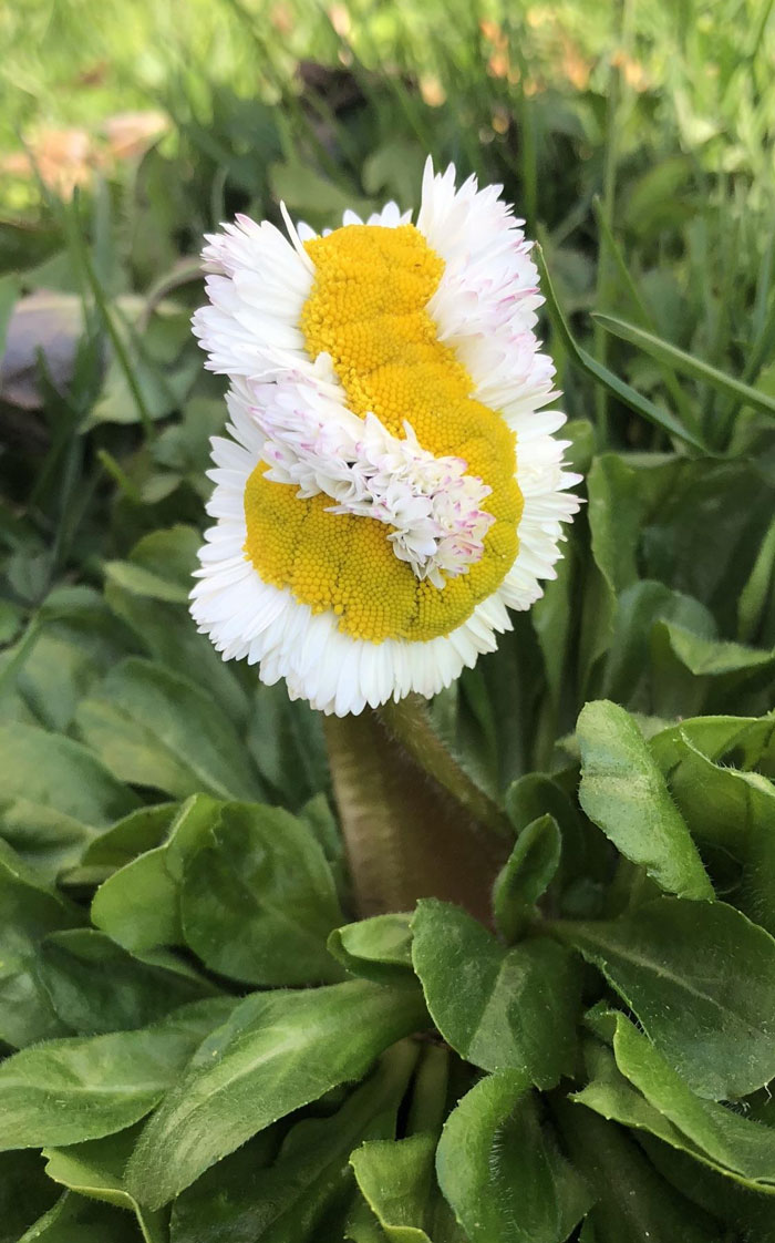 50 rare sights people hardly ever get the chance to see