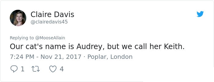 The 70+ most hilarious pet names and how they got them