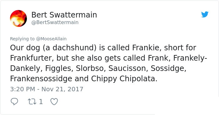 The 70+ most hilarious pet names and how they got them