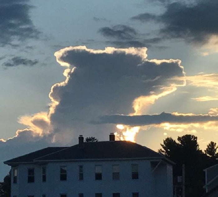 People noticed a cloud in the shape of a dog