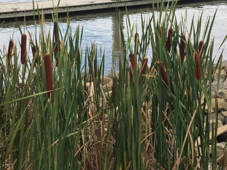 The 75 worst ‘life hacks’ of all time