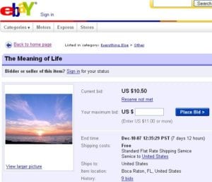 55 Listings on eBay that are as hilarious as they are ridiculous