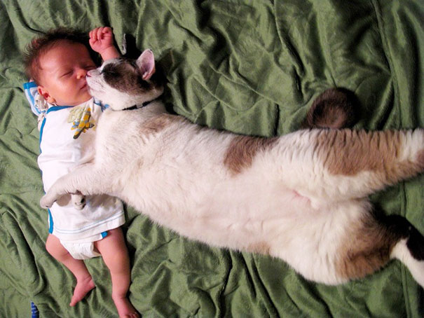 Photos That Show Kids And Cats Can Be The Best Of Friends